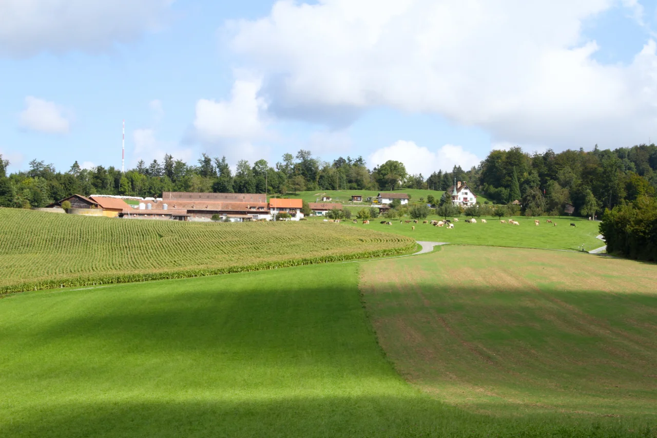 Felsenegg-Uetliberg: My First Hike in Switzerland — living minnaly